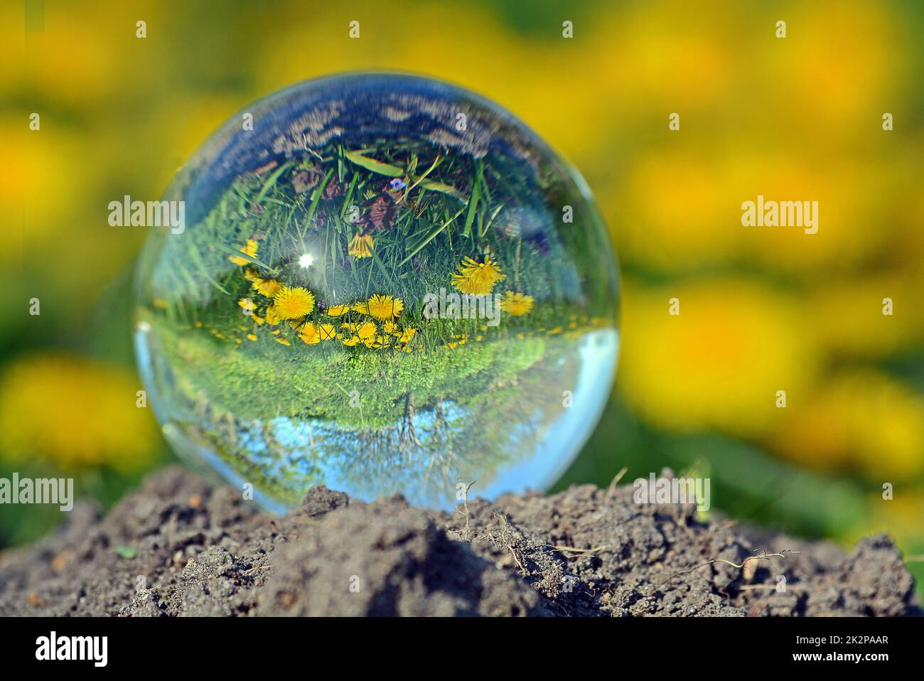 Glas kugel -Fotos und -Bildmaterial in hoher Auflösung – Alamy