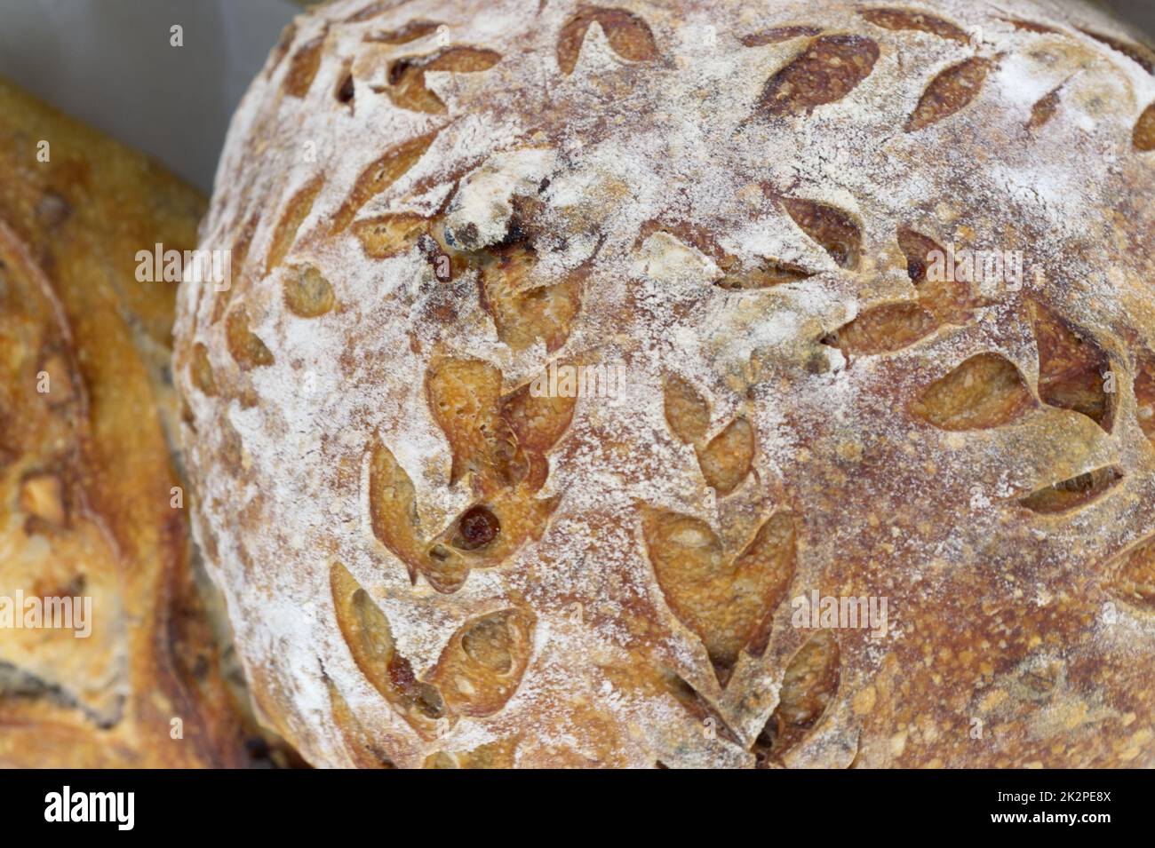 Nahaufnahme des Brotes. Frisch gebackenes Sauerteigbrot mit einer ...