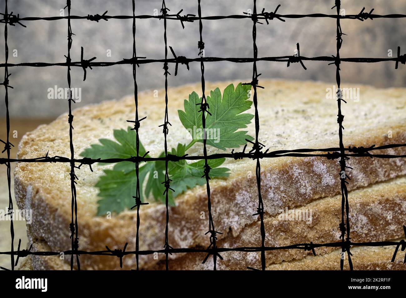 Essen verboten -Fotos und -Bildmaterial in hoher Auflösung – Alamy