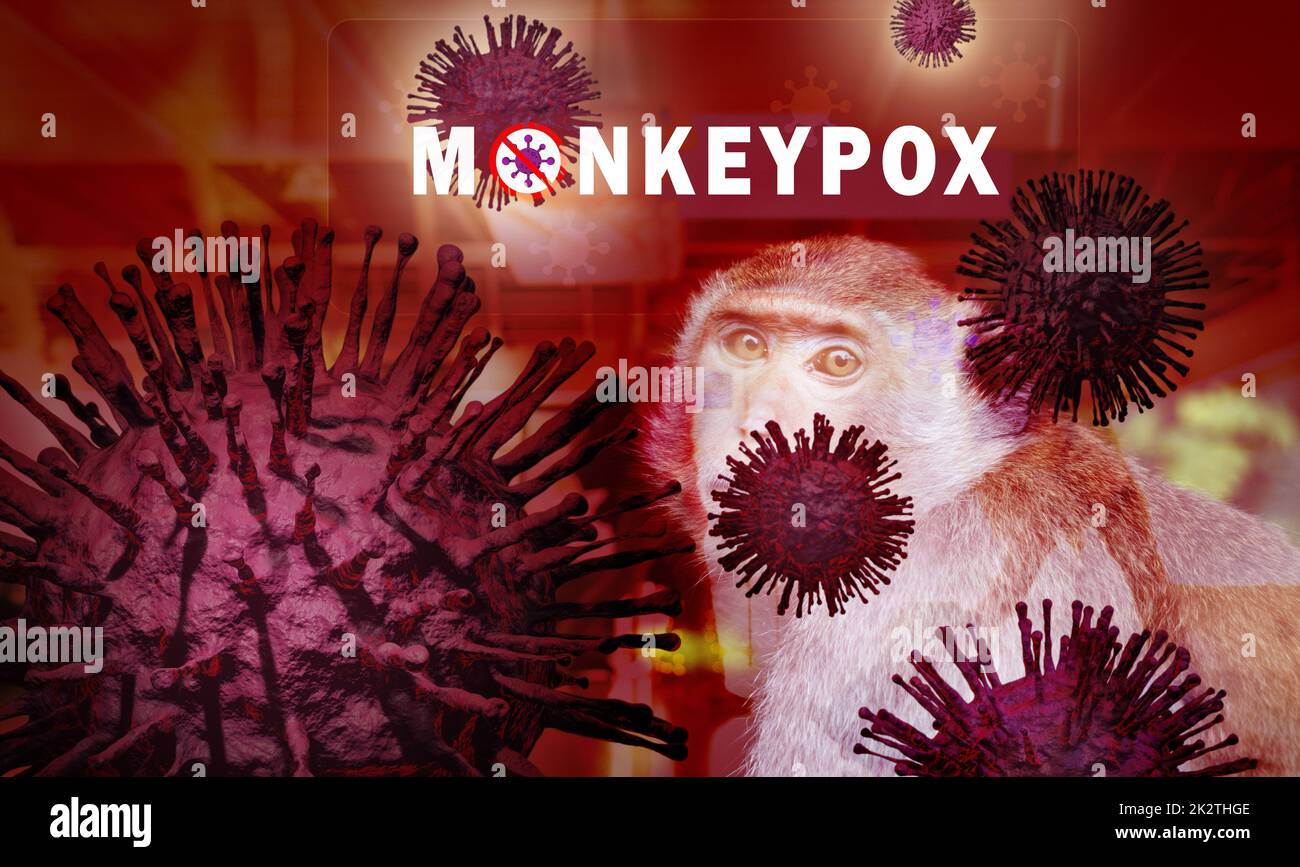 Pocken von affen -Fotos und -Bildmaterial in hoher Auflösung – Alamy