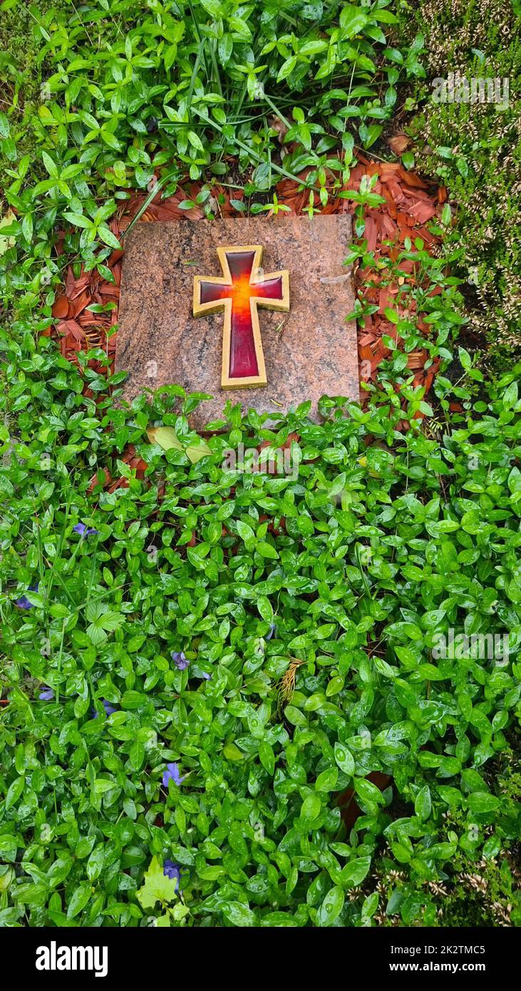 Fondo blanco o claro -Fotos und -Bildmaterial in hoher Auflösung – Alamy