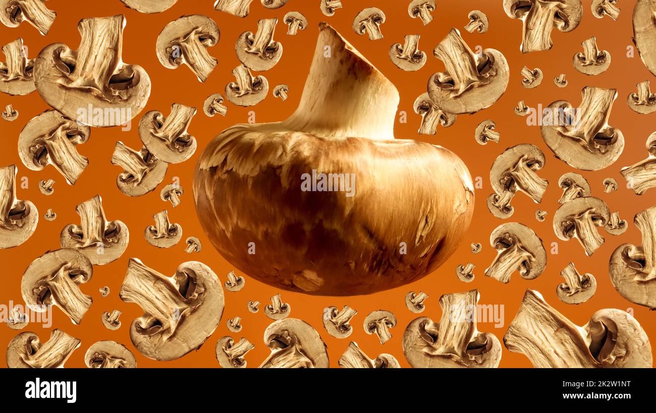Ein frischer Pilz auf braunem Hintergrund. Champignon Royal, groß ...