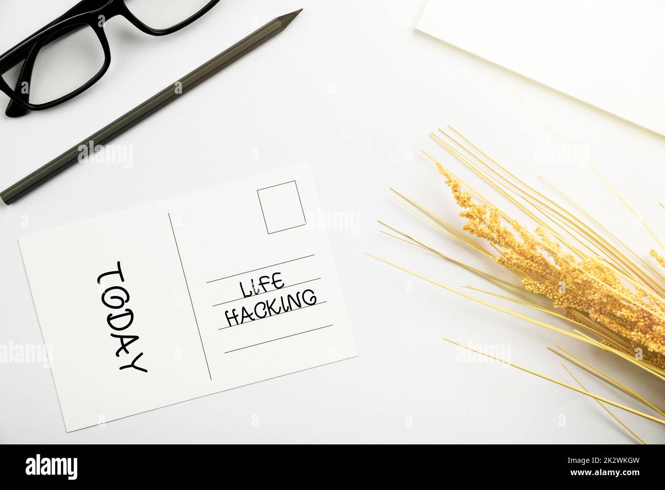 Text, der Inspiration Life Hacking zeigt. Konzept bedeutet einfache und ...