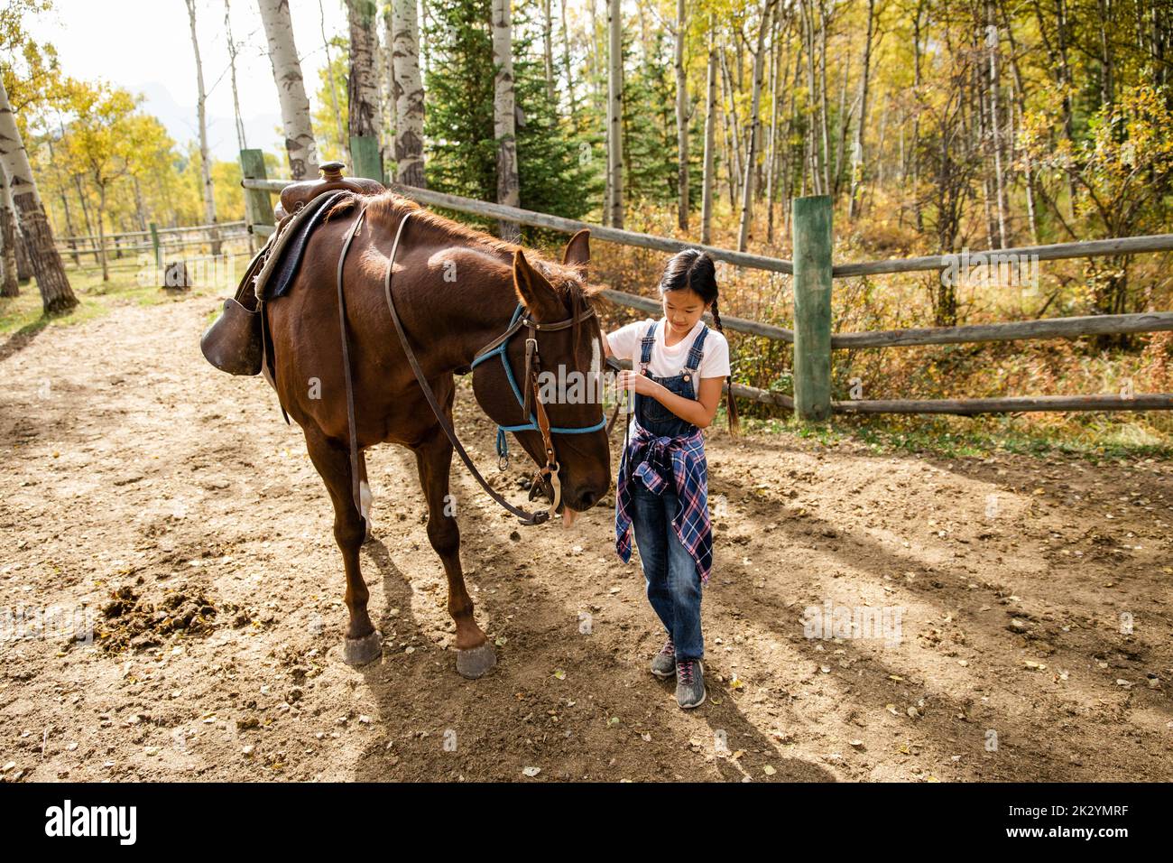 Herbst reiten pferd mädchen -Fotos und -Bildmaterial in hoher Auflösung ...