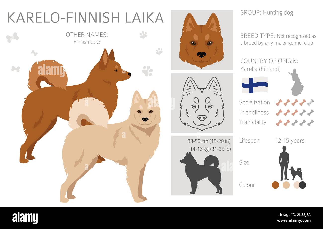 Laika dog Stock-Vektorgrafiken kaufen - Alamy