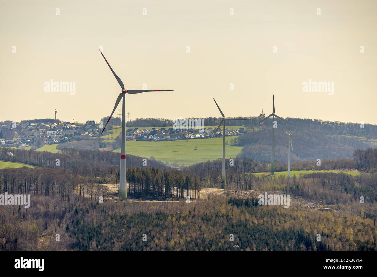 Luftaufnahme, Windturbinen im Waldgebiet mit Waldschäden in ...