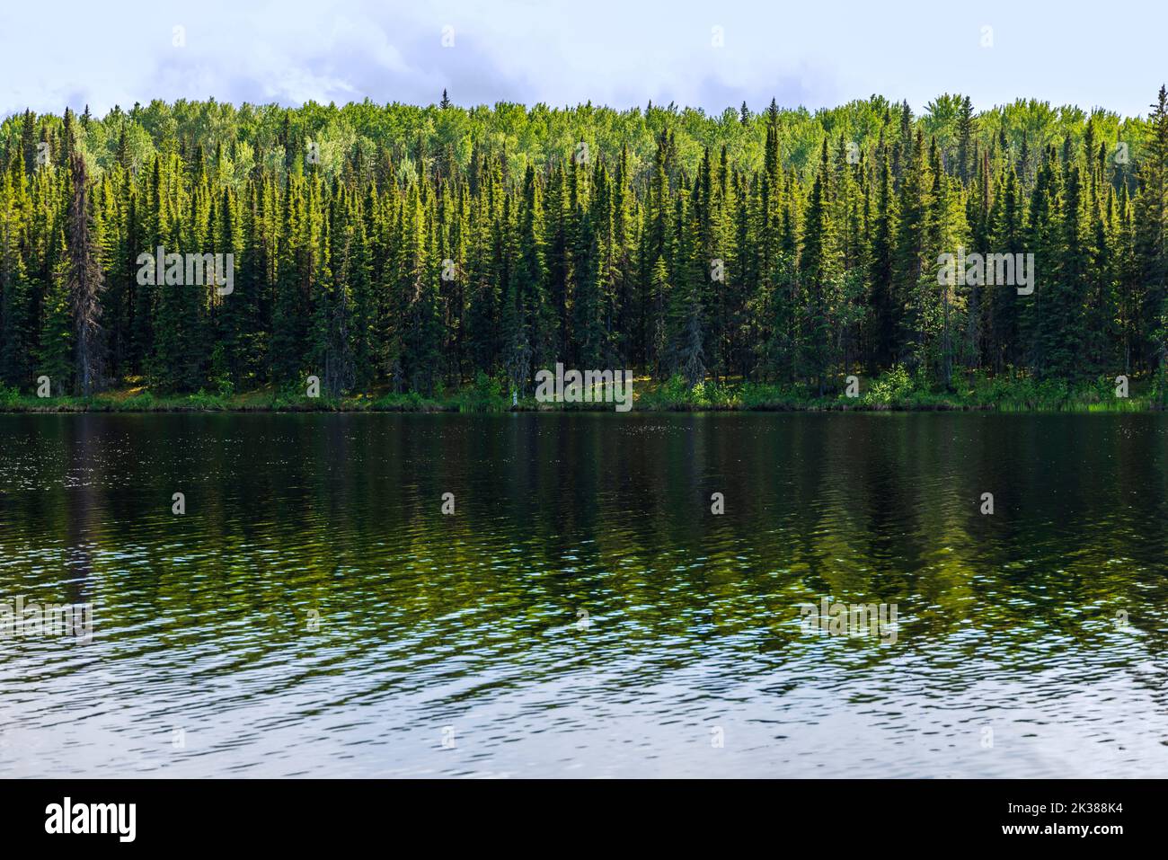 Andy bailey regionalpark -Fotos und -Bildmaterial in hoher Auflösung – Alamy