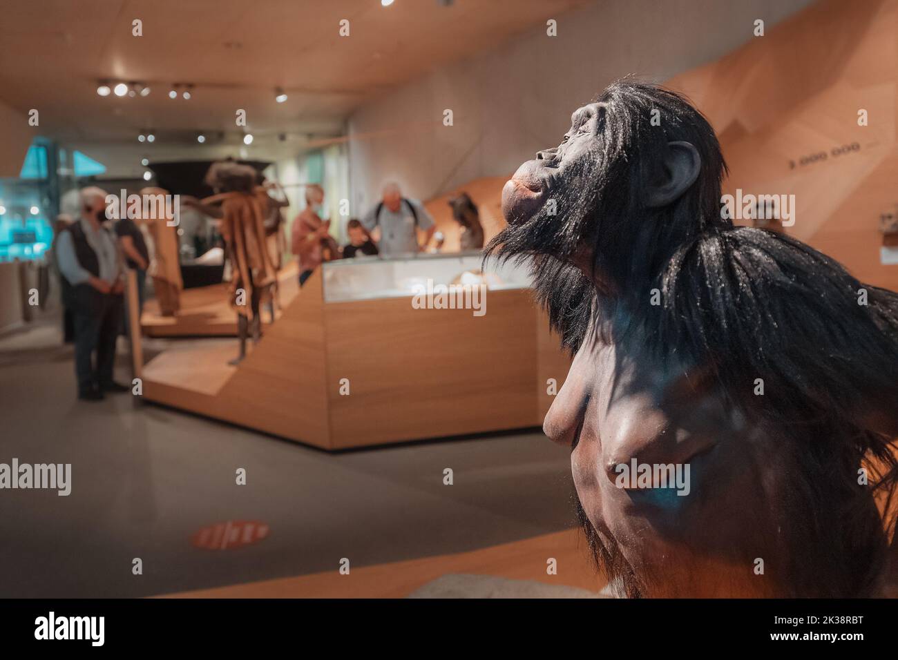 22. Juli 2022, Neanderthal Museum, Deutschland: Lucy - Australopithecus ...