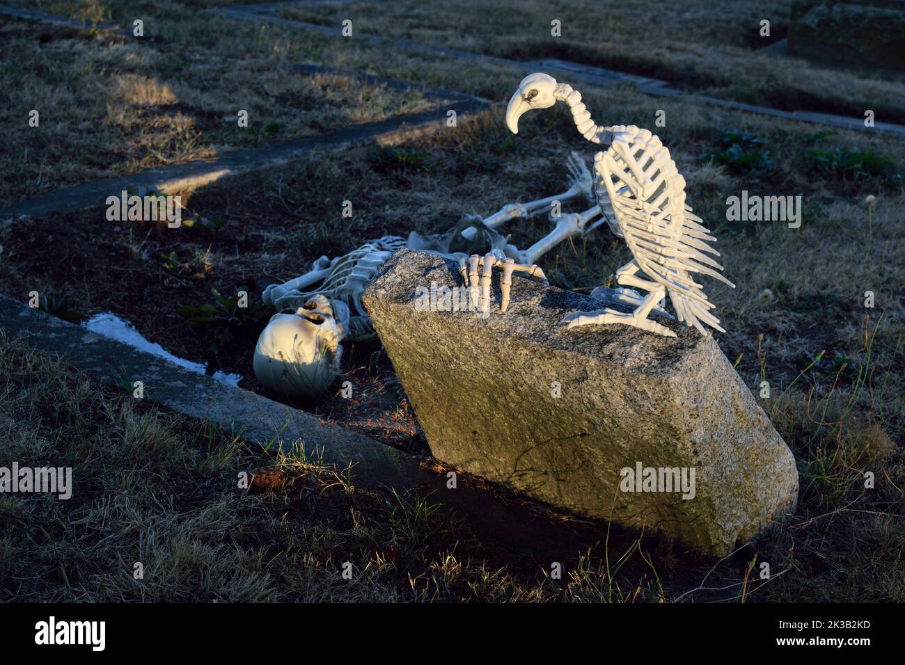 Skelett im grab -Fotos und -Bildmaterial in hoher Auflösung – Alamy