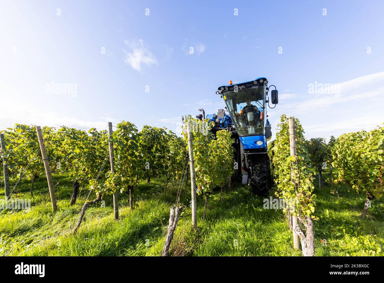 Einnahmen ernten -Fotos und -Bildmaterial in hoher Auflösung – Alamy