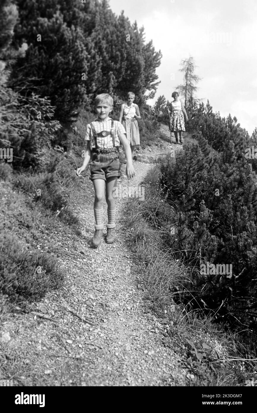 Die Familie des Fotografen wandert im Saalfeldener Becken, Salzburger ...