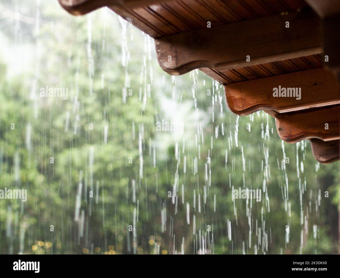 Regen Starkregen bei einem Parkregen im Wald Regen im Wald Starkregen ...