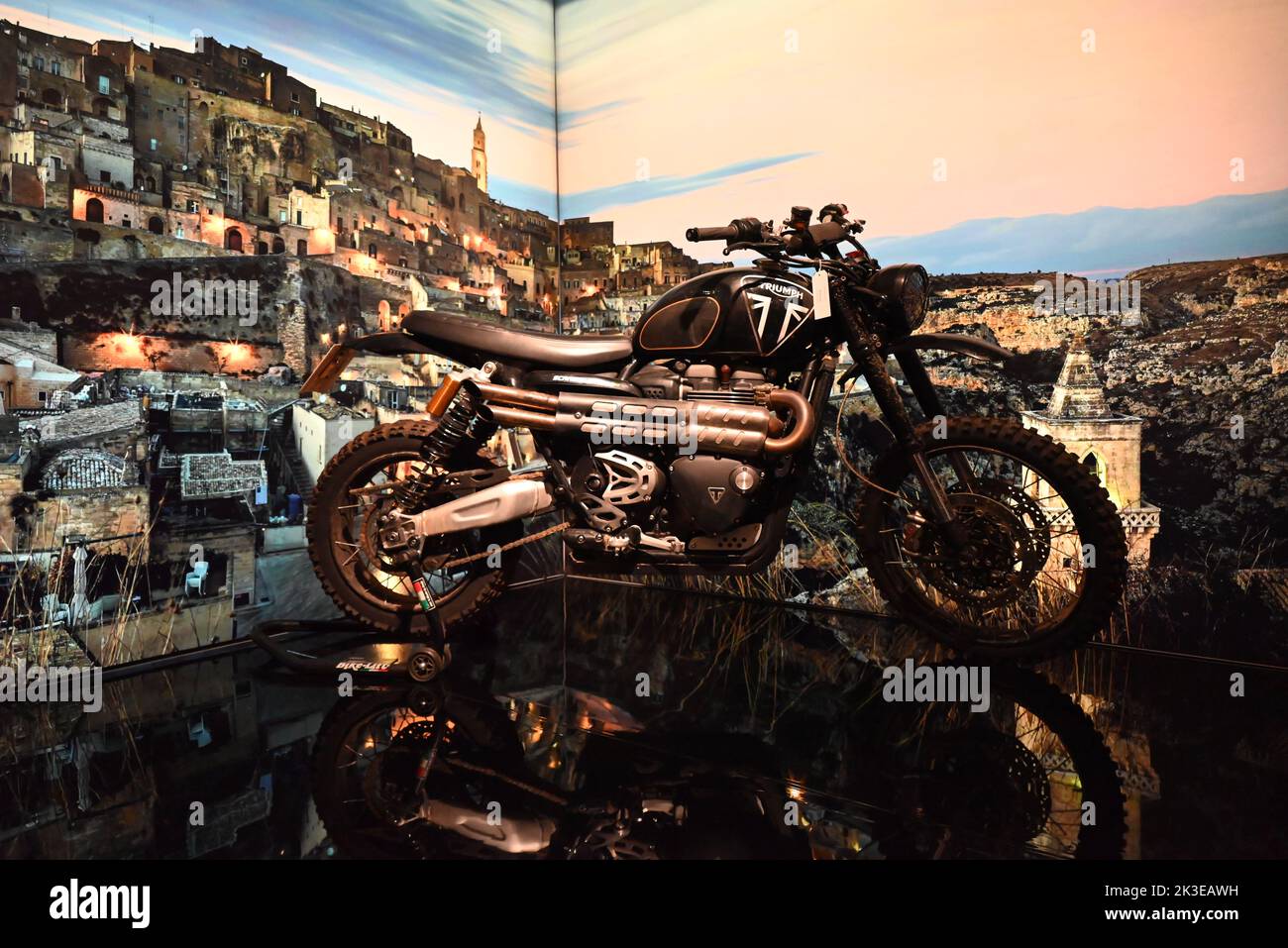 Die Live-Auktion am 28. September wird mit sechs Partien abgeschlossen ...