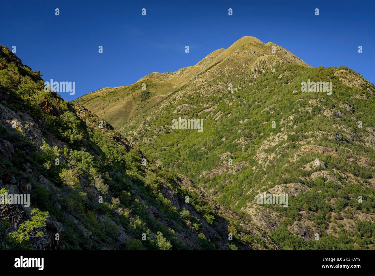 Escala de nubes -Fotos und -Bildmaterial in hoher Auflösung – Alamy
