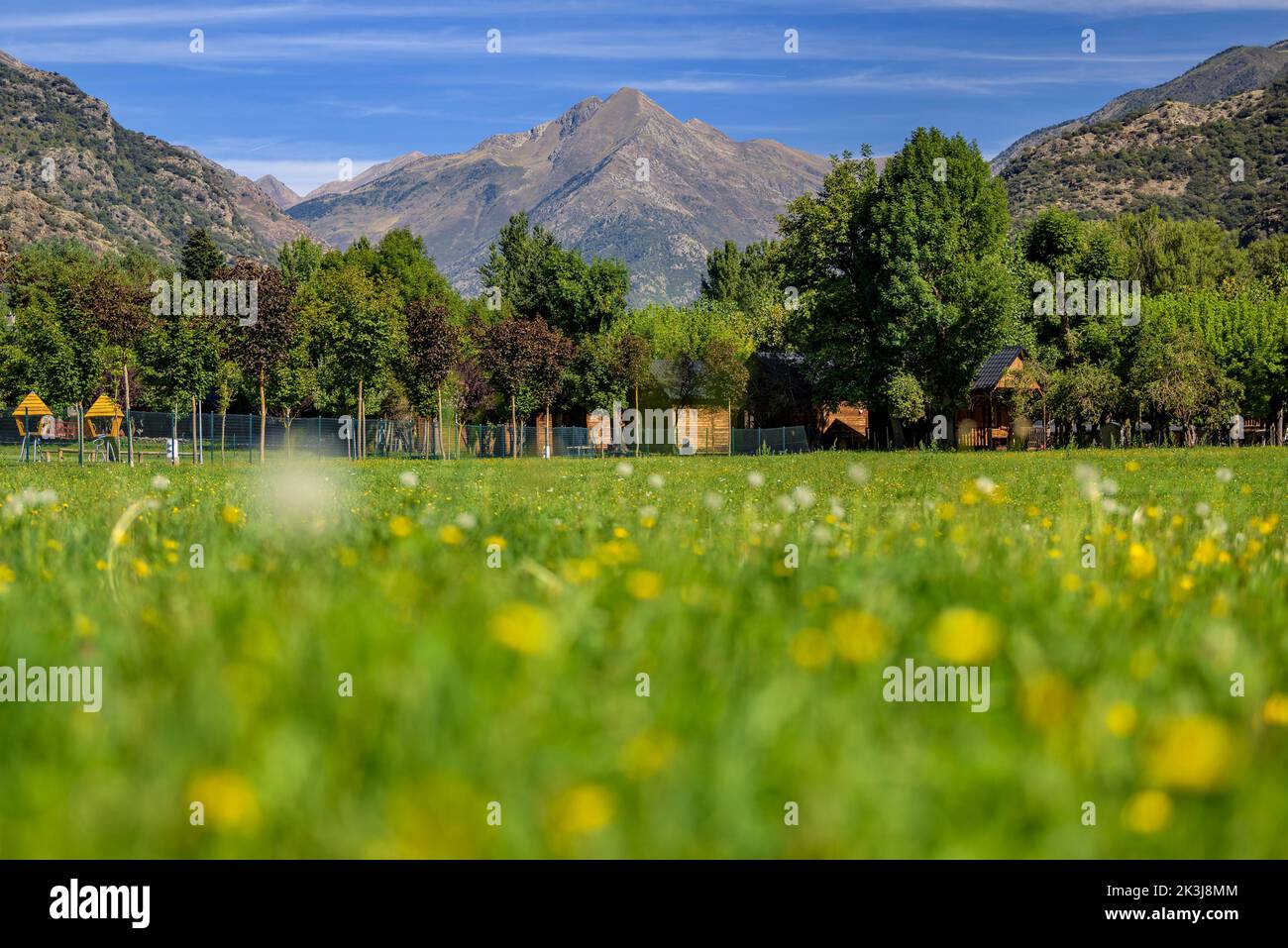 Grüne Frühlingsfelder in Ribera de Cardós, im Tal von Cardós. Im ...