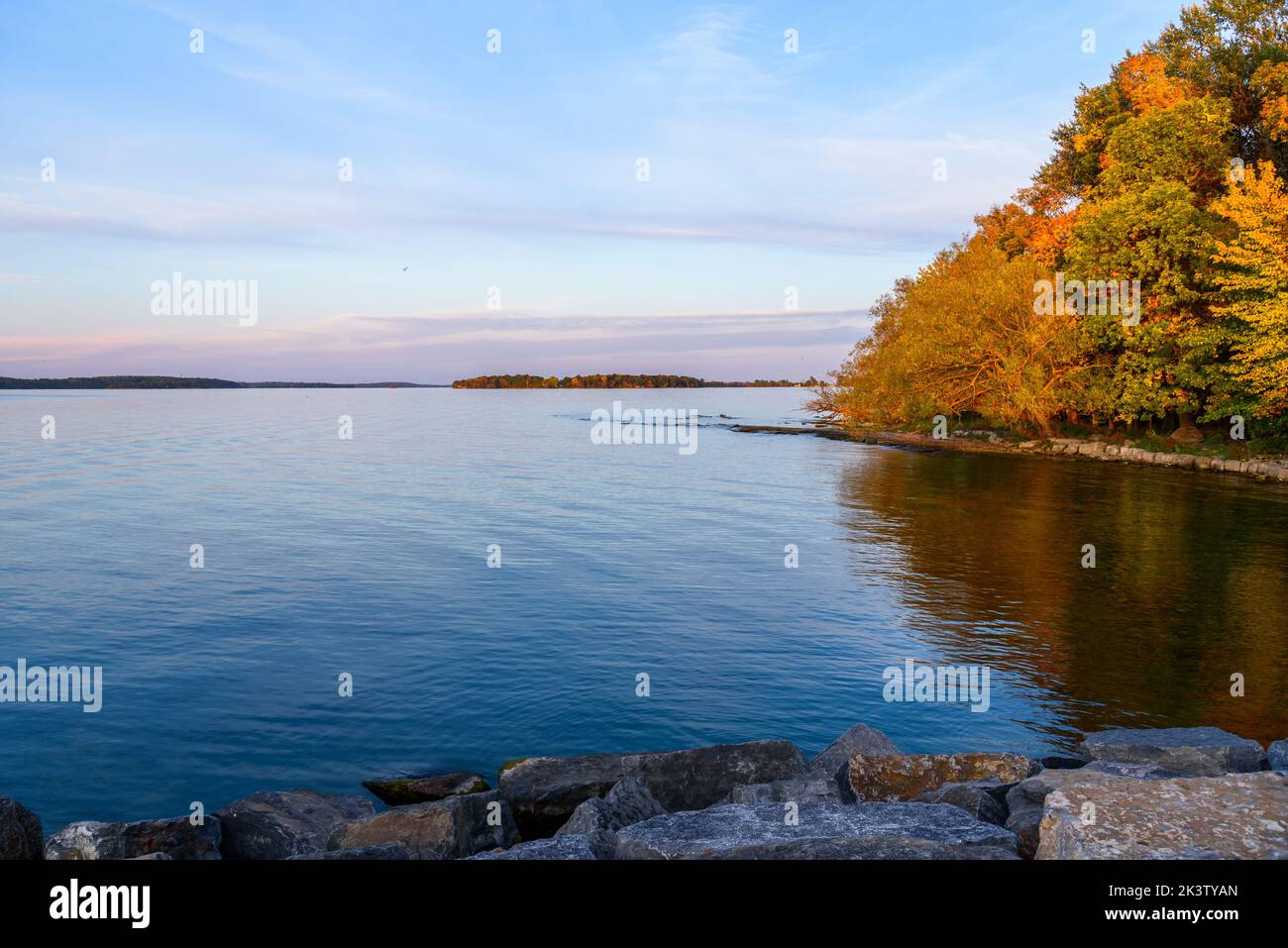 Idyllischer see mit bauminsel und wald im hintergrund -Fotos und ...