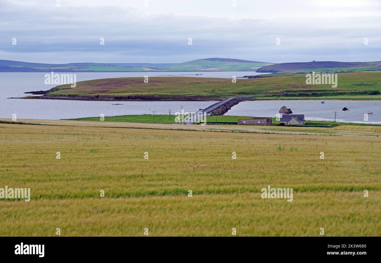 Burwick orkney -Fotos und -Bildmaterial in hoher Auflösung – Alamy