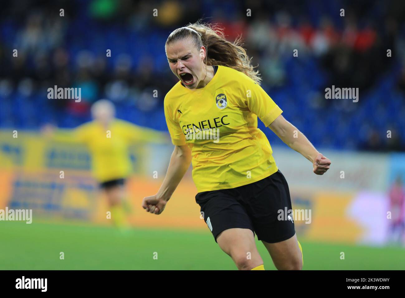 Kups kuopio -Fotos und -Bildmaterial in hoher Auflösung – Alamy