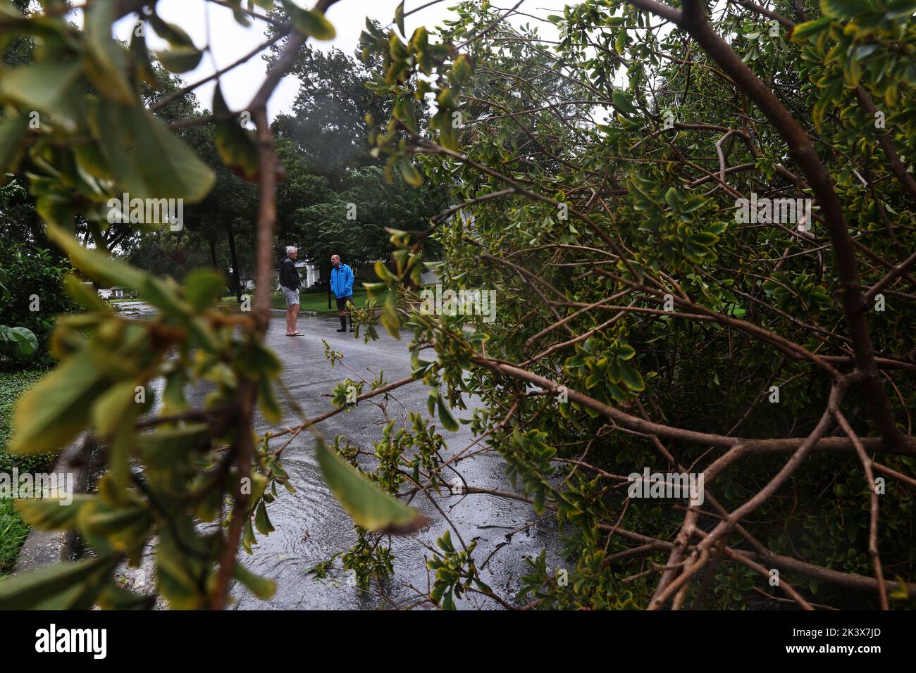 Baum nach hurrikan ian -Fotos und -Bildmaterial in hoher Auflösung – Alamy