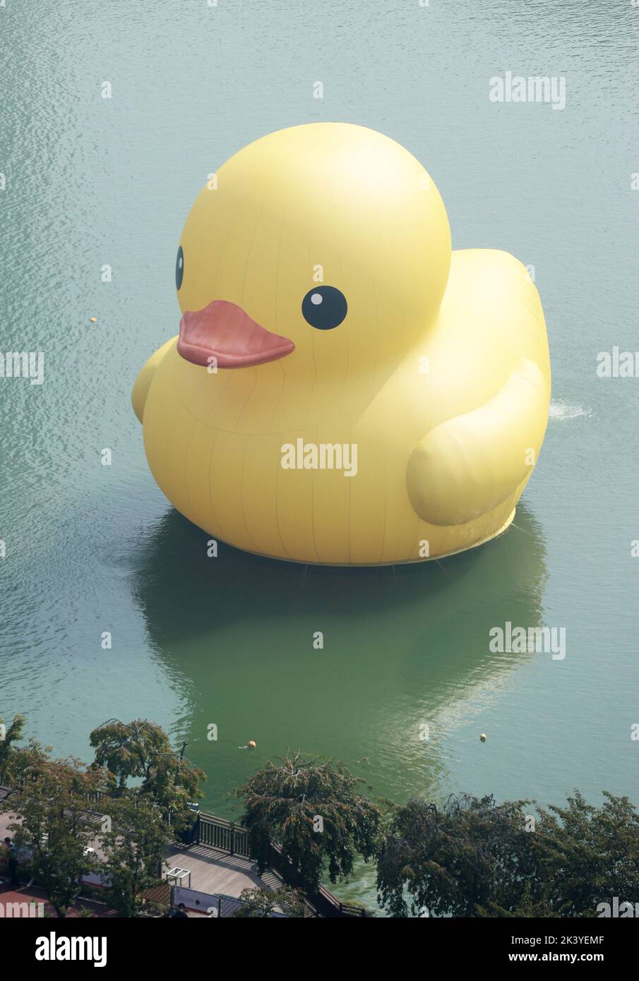 Gummiente schwimmt auf dem See von Seoul die 18 Meter hohe Gummiente ...