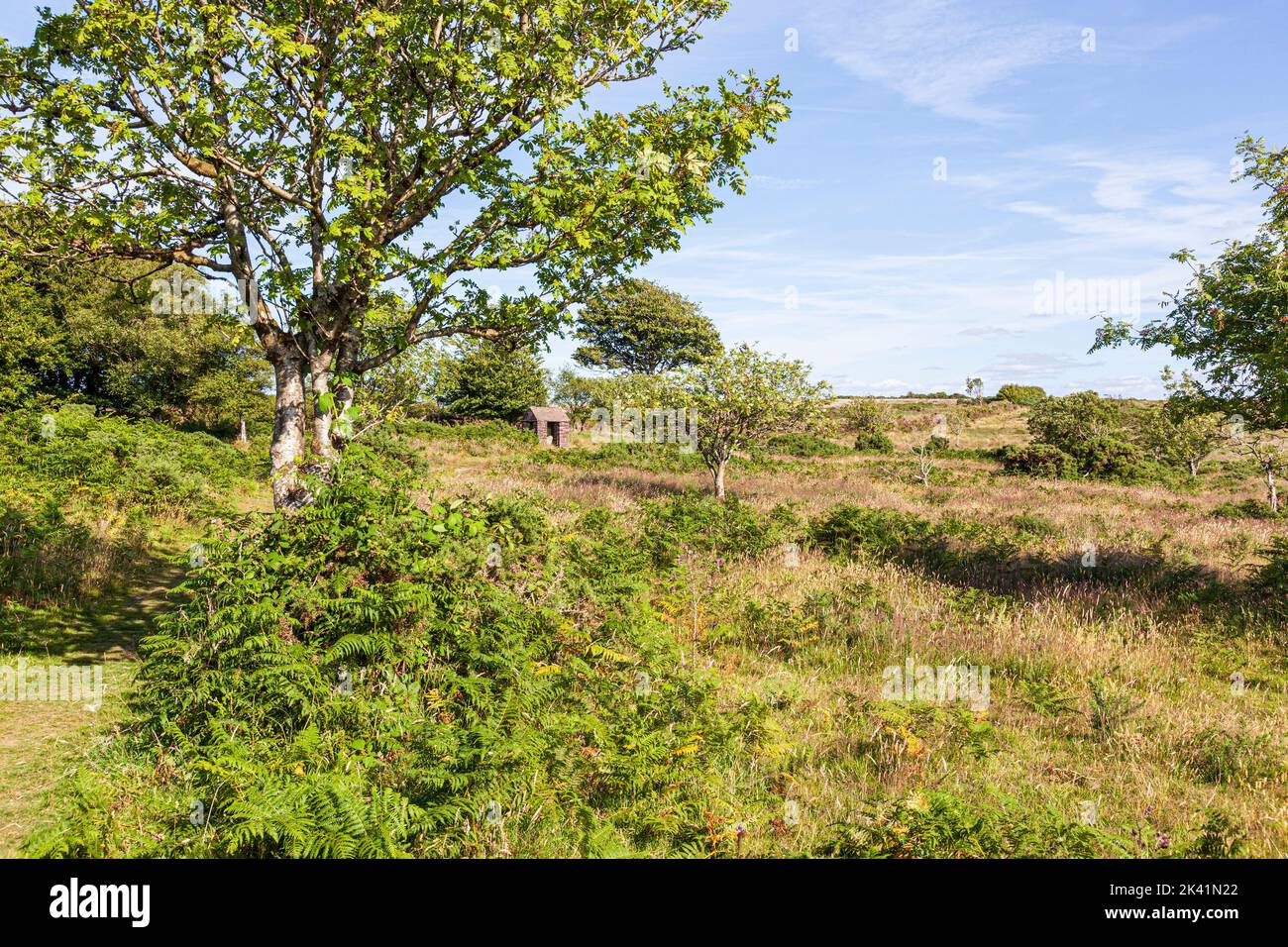 Der Caractacus Stone, gedacht bis ins 6.. Jahrhundert, auf dem Winsford ...
