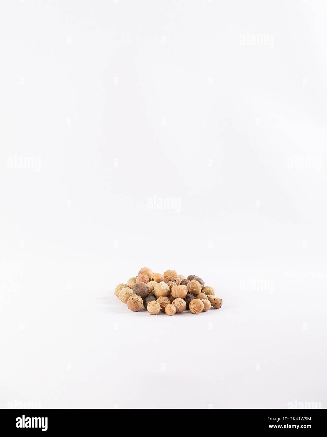 Galla chinensis -Fotos und -Bildmaterial in hoher Auflösung – Alamy