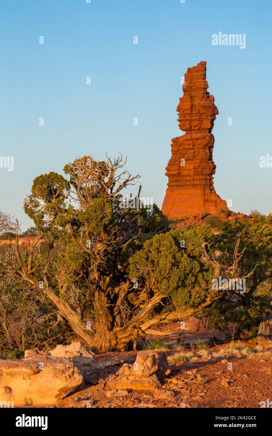 Standing Rock, ein Organ Rock Shale Tower im Land of Standing Rocks im ...