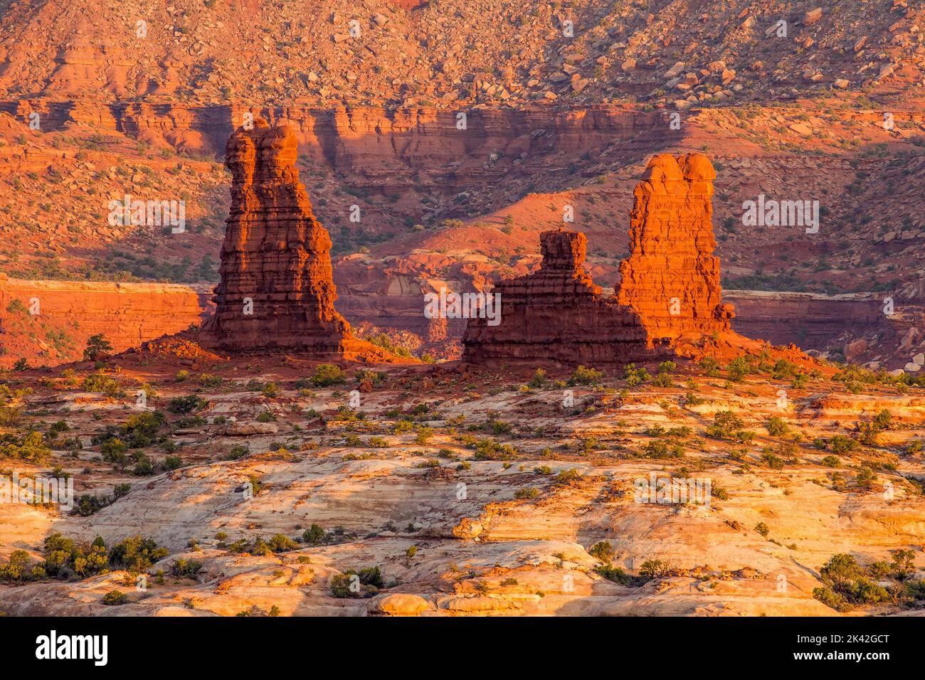 Organ Rock Schieferformationen im Land of Standing Rocks im Maze ...
