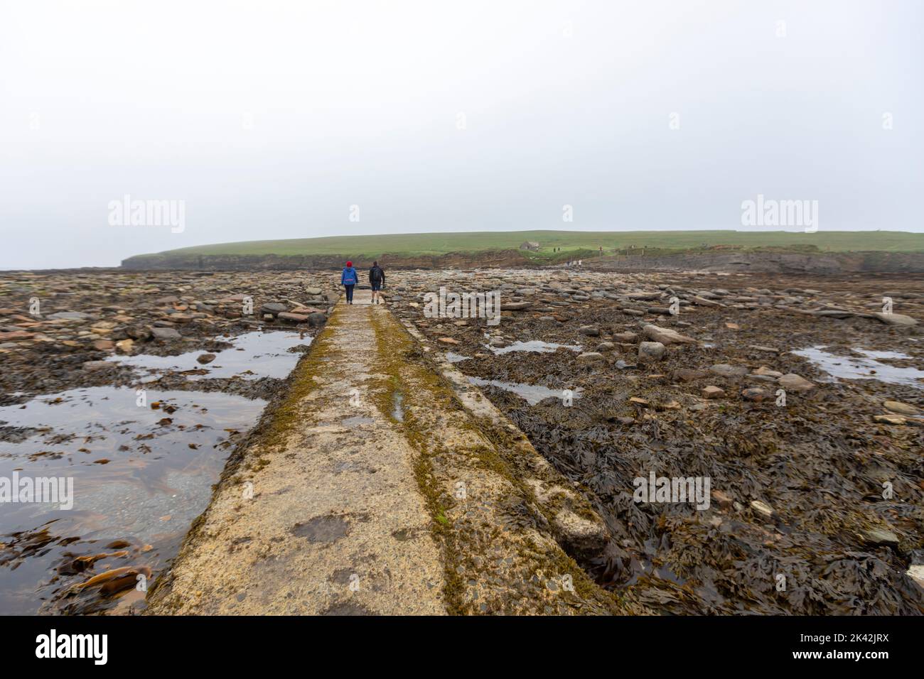Touristen, die auf dem Betonweg zur Insel Brough of Birsay, dem ...