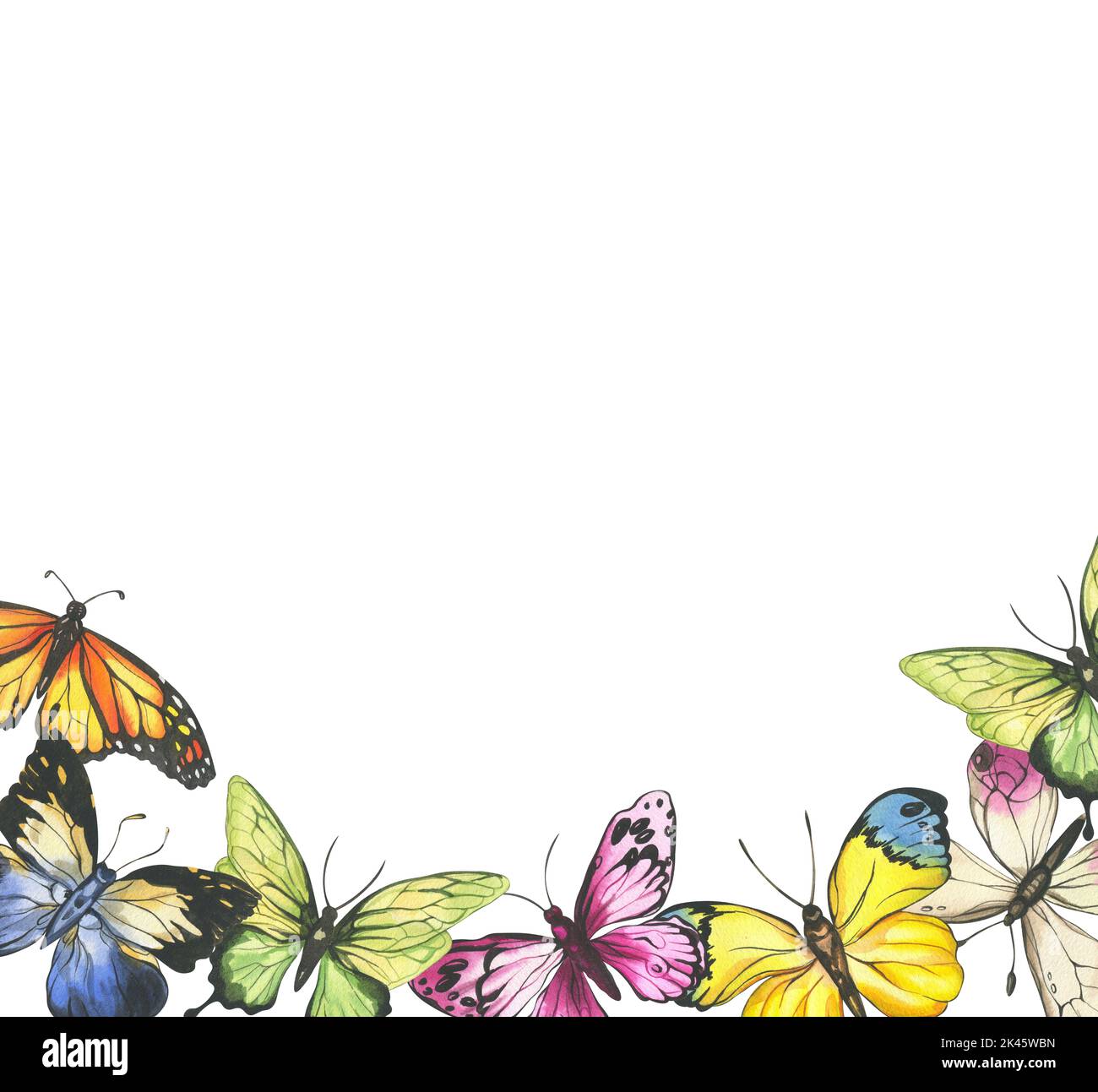 Schmetterlinge. Kranz und Rahmen. Aquarell-Illustration von bunten ...