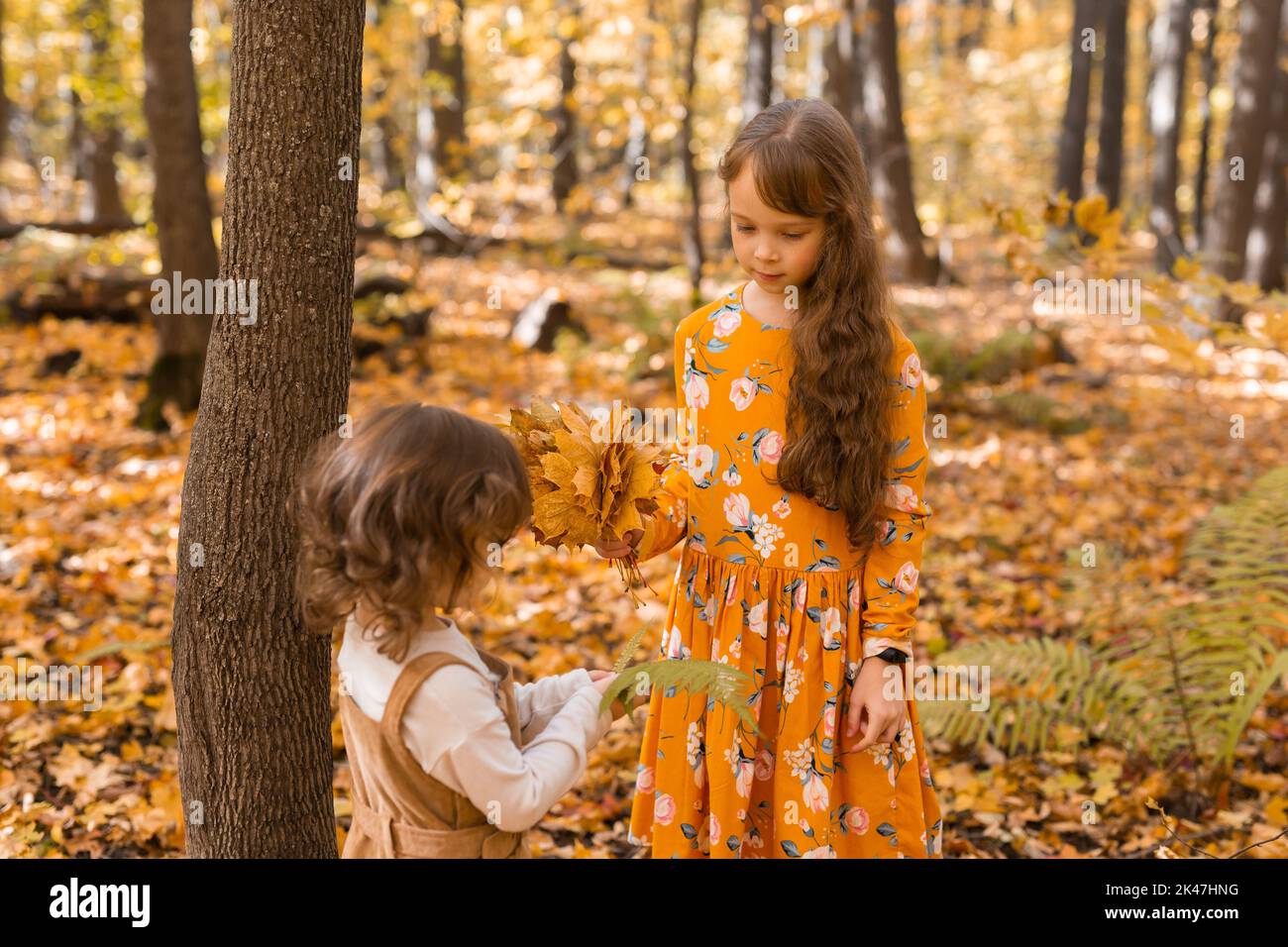 Glückliche Kinder spielen im schönen Herbstpark am warmen sonnigen ...