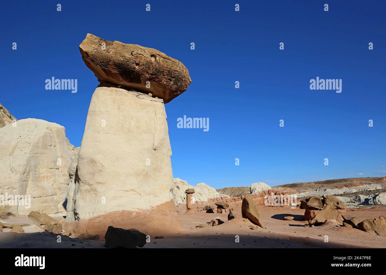 Mushroom trip -Fotos und -Bildmaterial in hoher Auflösung – Alamy