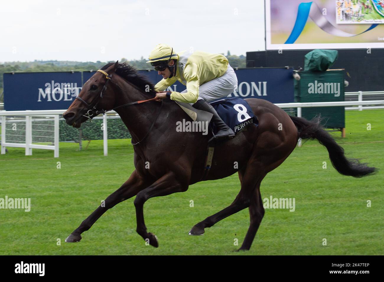 Ascot, Bergen, Großbritannien. 30.. September 2022. Jockey Ross Birkett ...