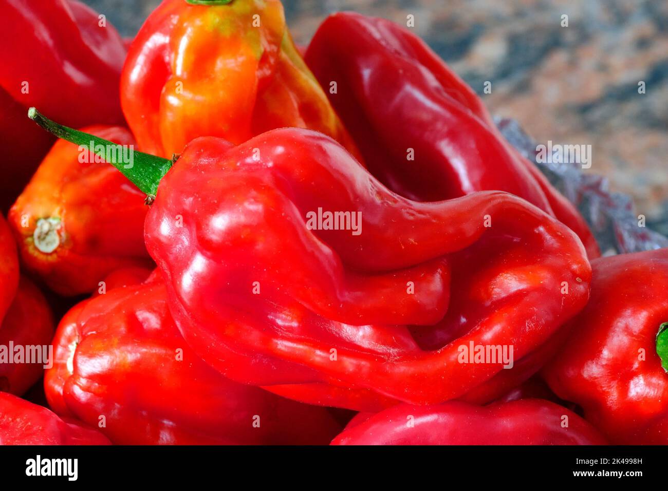 Die roten peperoni -Fotos und -Bildmaterial in hoher Auflösung – Alamy