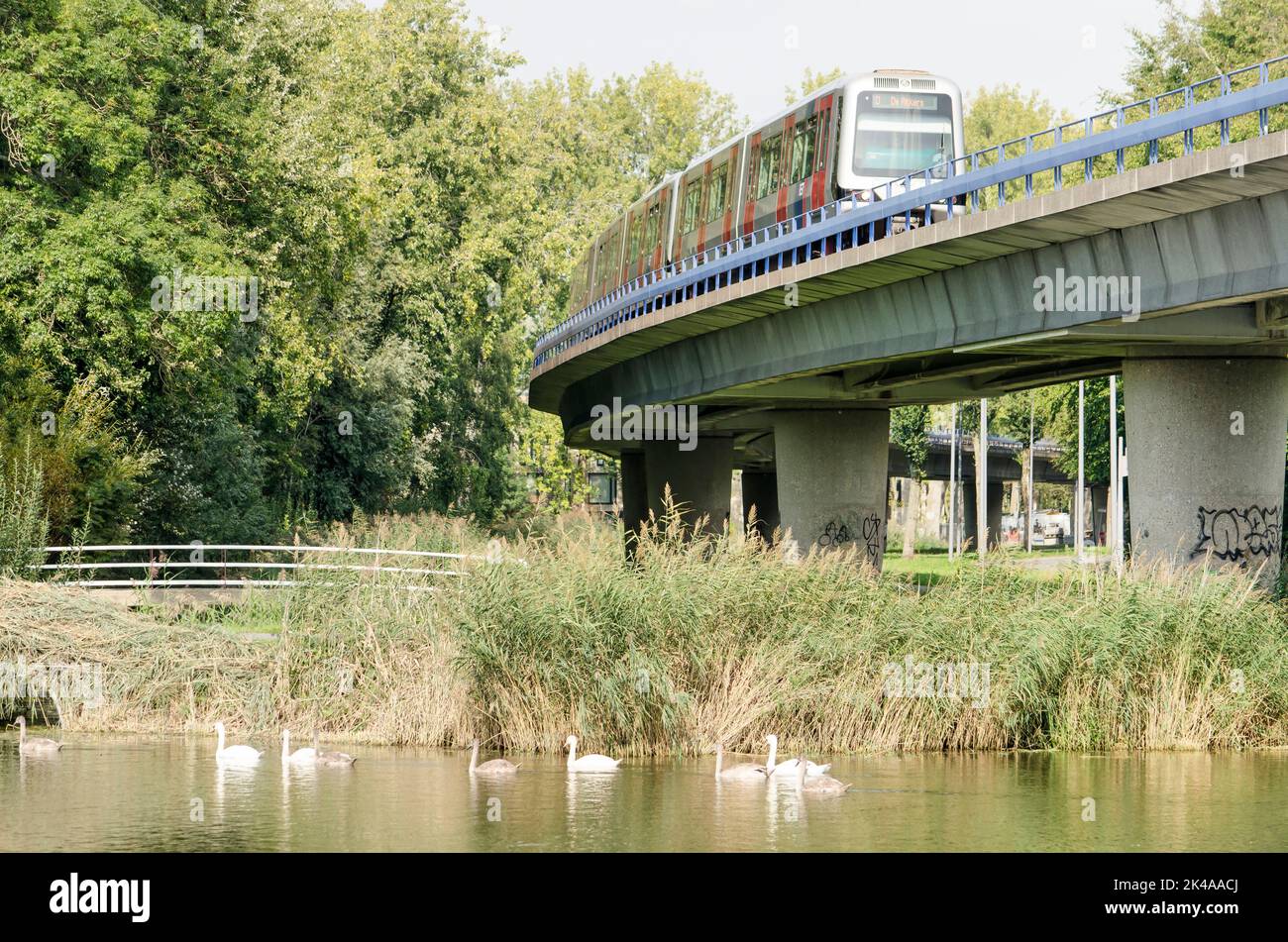 Rotterdam, Niederlande, 22. September 2022: Eine U-Bahn auf einem ...