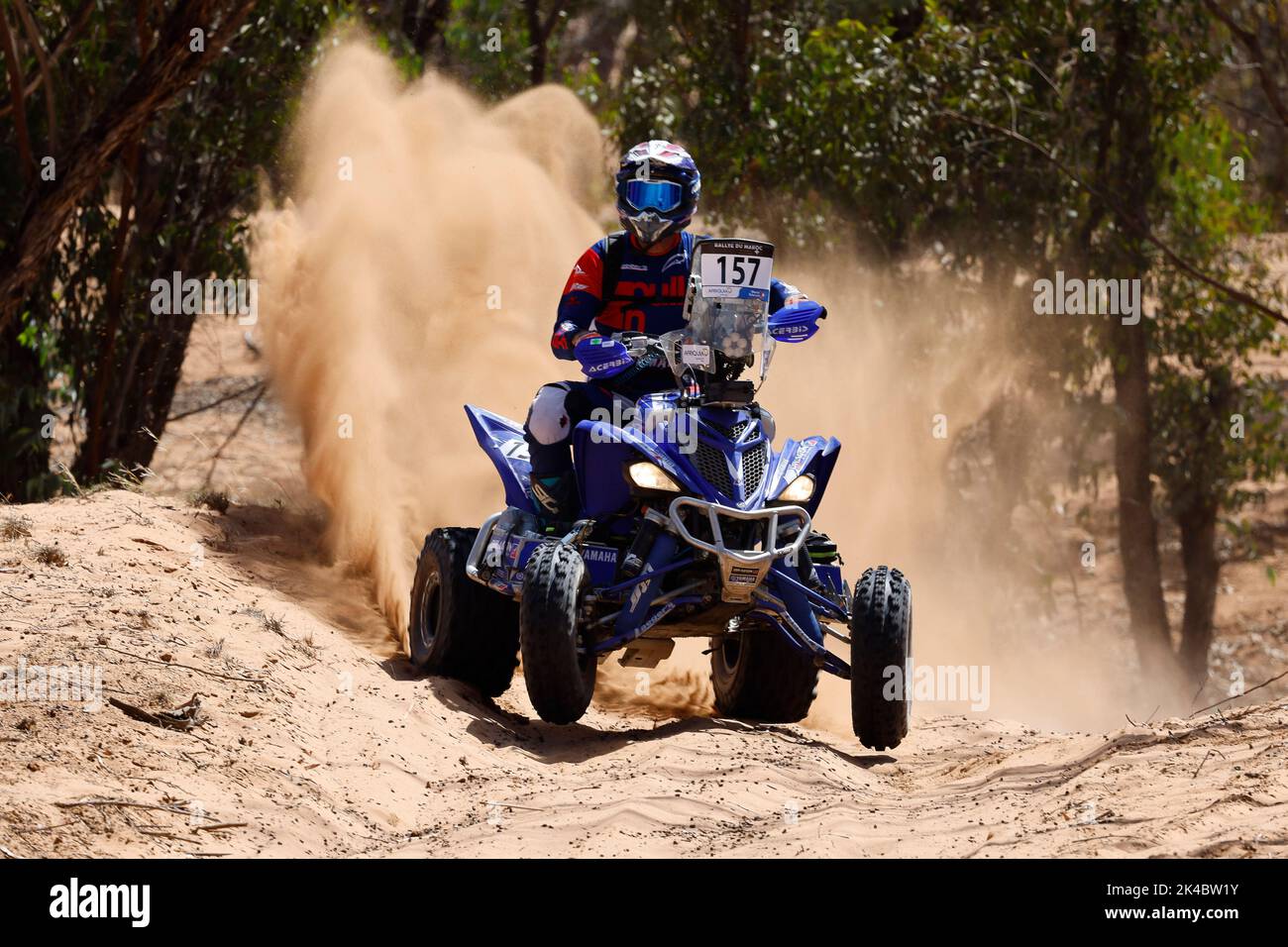 157 DUTRIE Axel (Fra), Drag'on Rally Team, Quaddy 700, Aktion beim ...