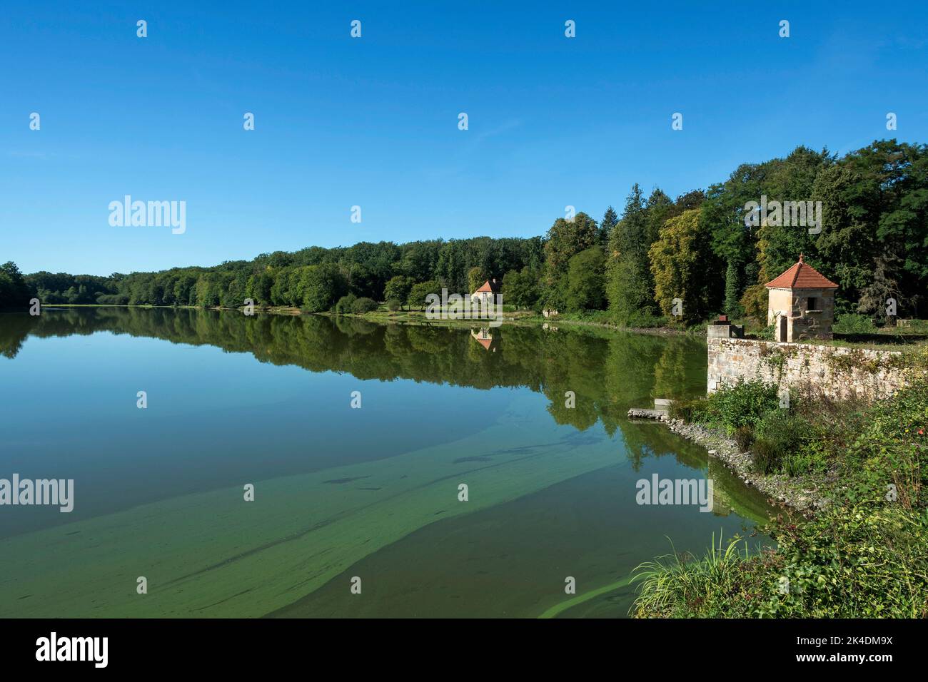 Troncais Land . Troncais-Teich. Allier-Abteilung. Auvergne Rhone Alpes ...