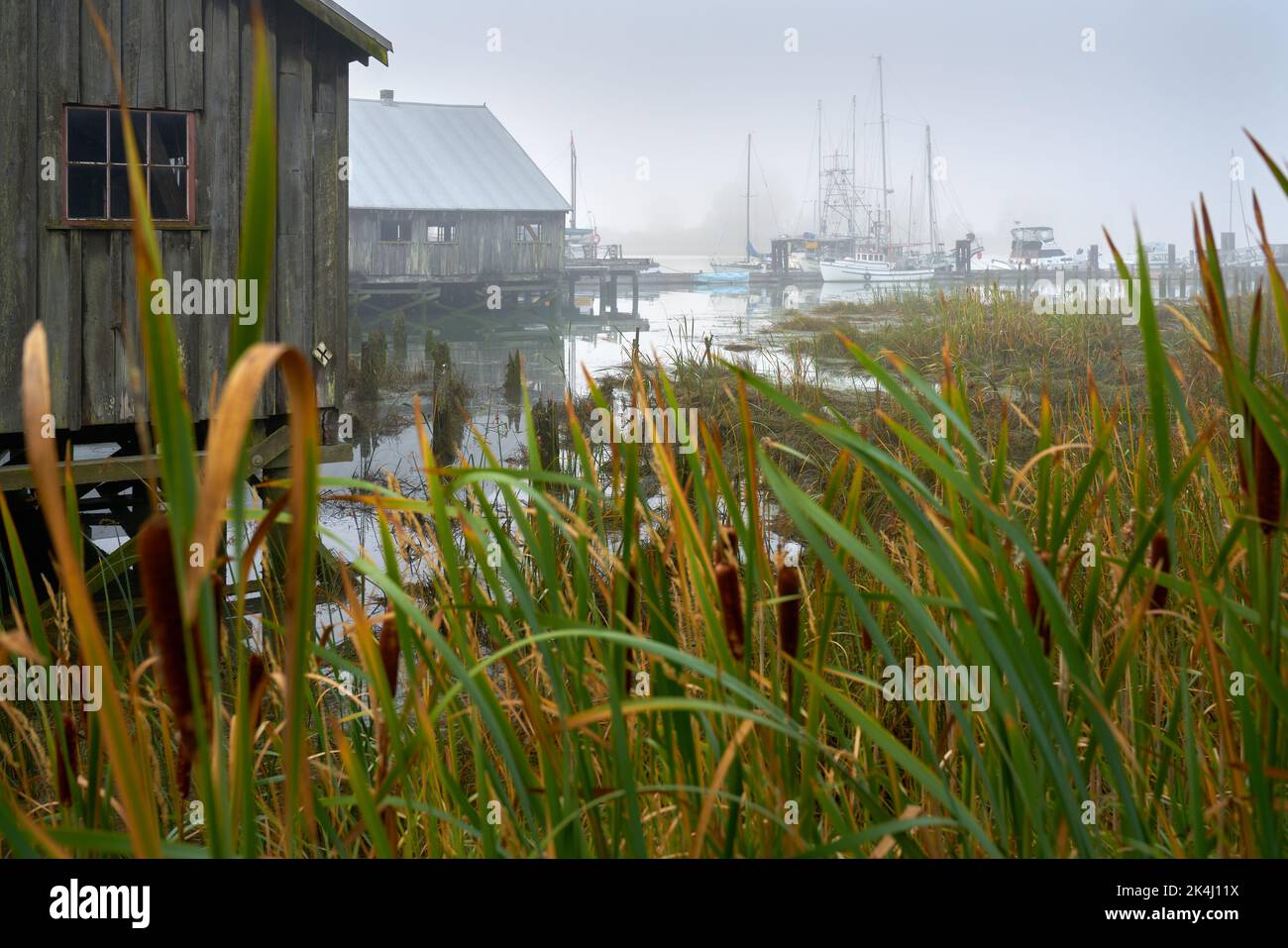 Nebel im historischen lagerhaus -Fotos und -Bildmaterial in hoher ...