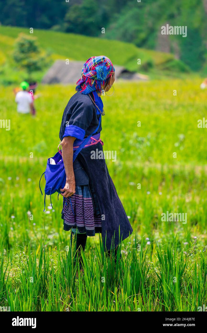 Mu Cang Chai, Vietnam - 24. Sep 2022: Menschen mit einer ethnischen ...