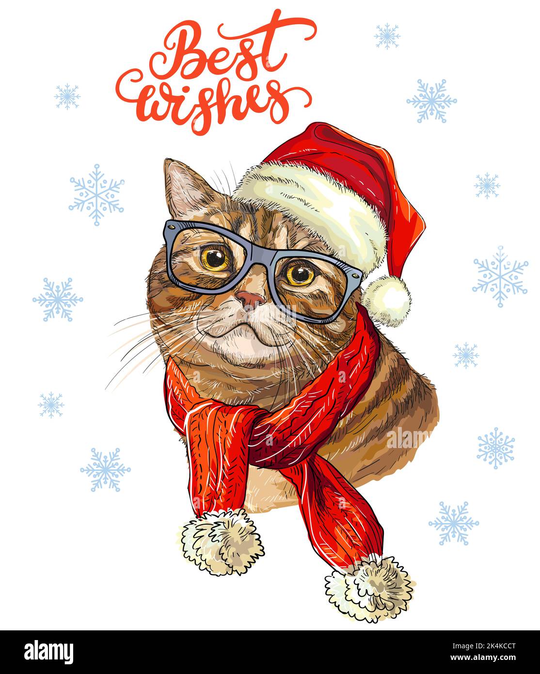 Schriftzug mit katze -Fotos und -Bildmaterial in hoher Auflösung – Alamy