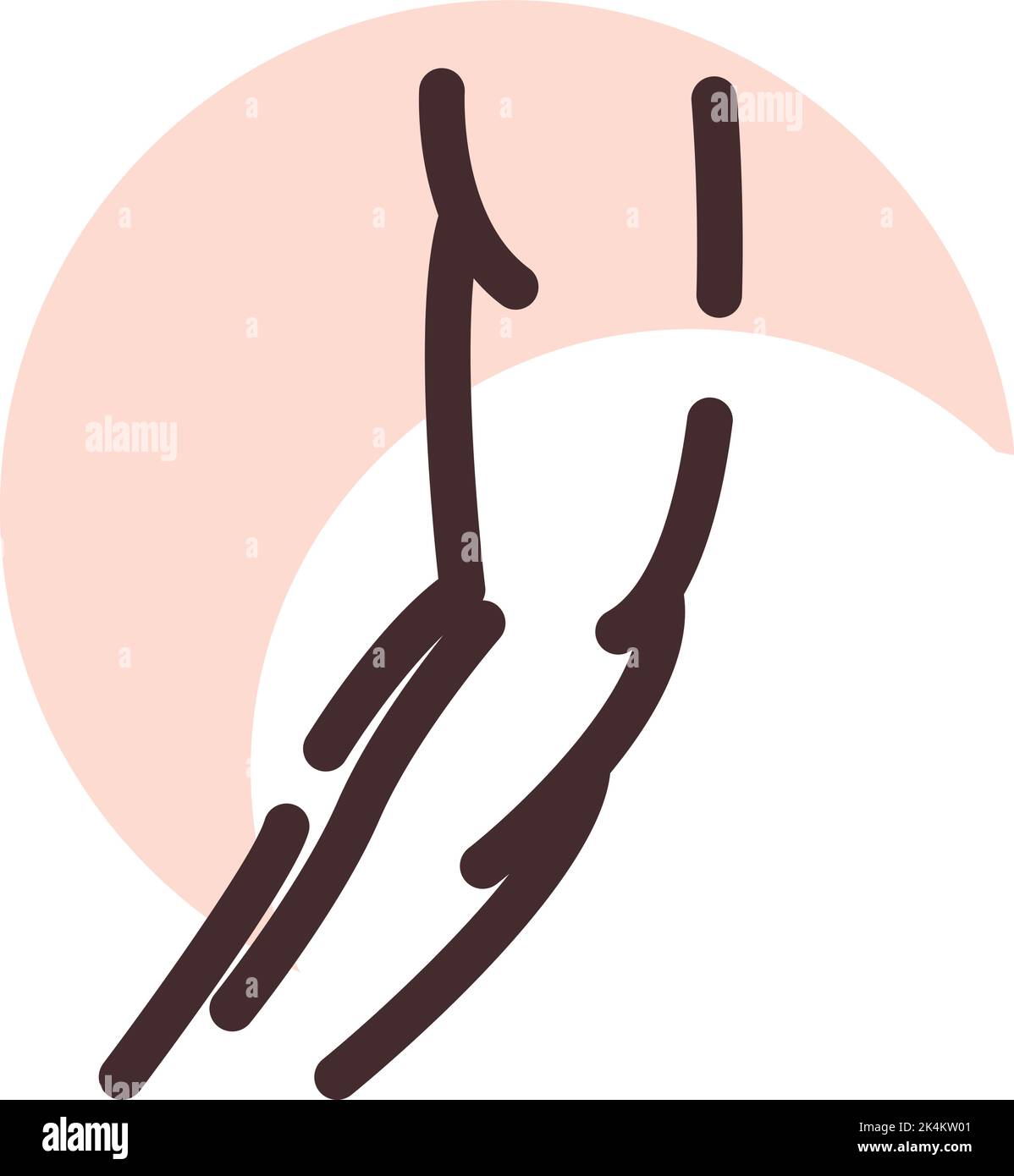 Ellenbogen anatomie Stock-Vektorgrafiken kaufen - Alamy