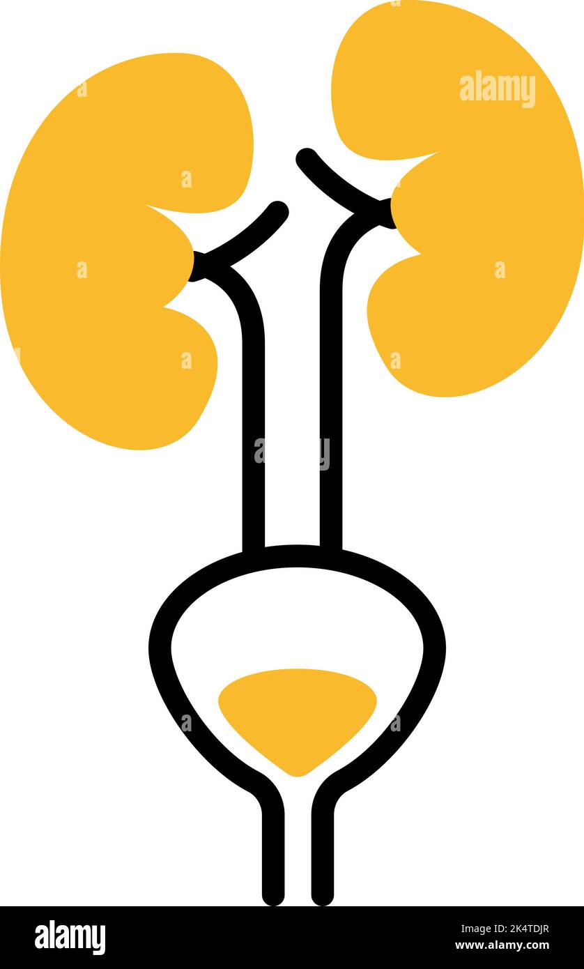 Urologie symbol Stock-Vektorgrafiken kaufen - Alamy