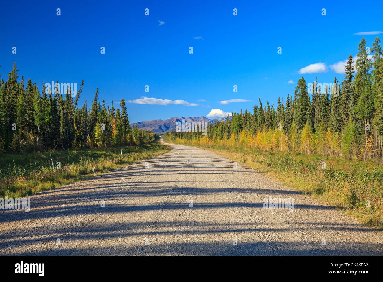 Mackenzie autobahn -Fotos und -Bildmaterial in hoher Auflösung – Alamy