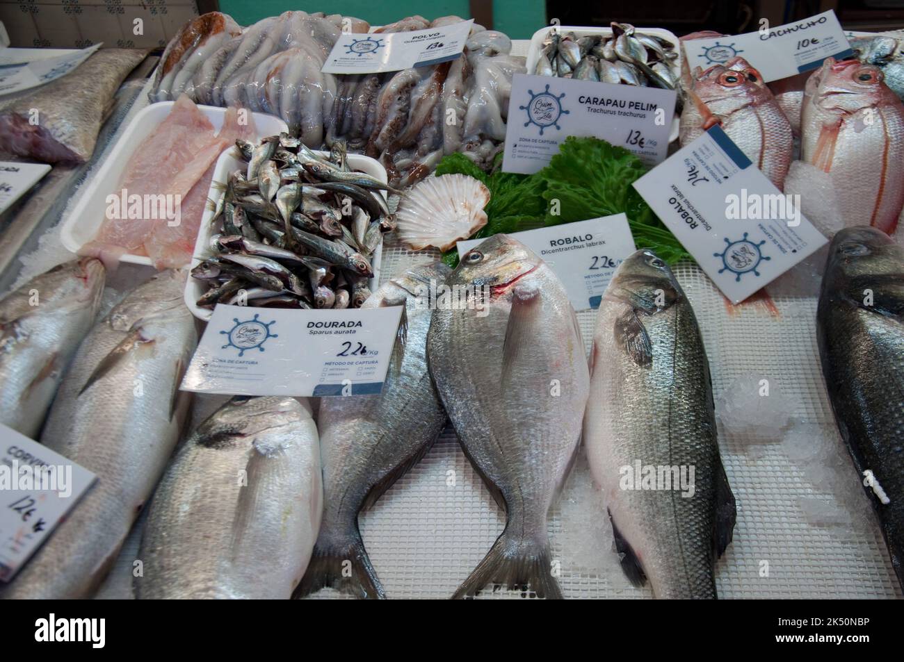 Municipal fish market -Fotos und -Bildmaterial in hoher Auflösung – Alamy