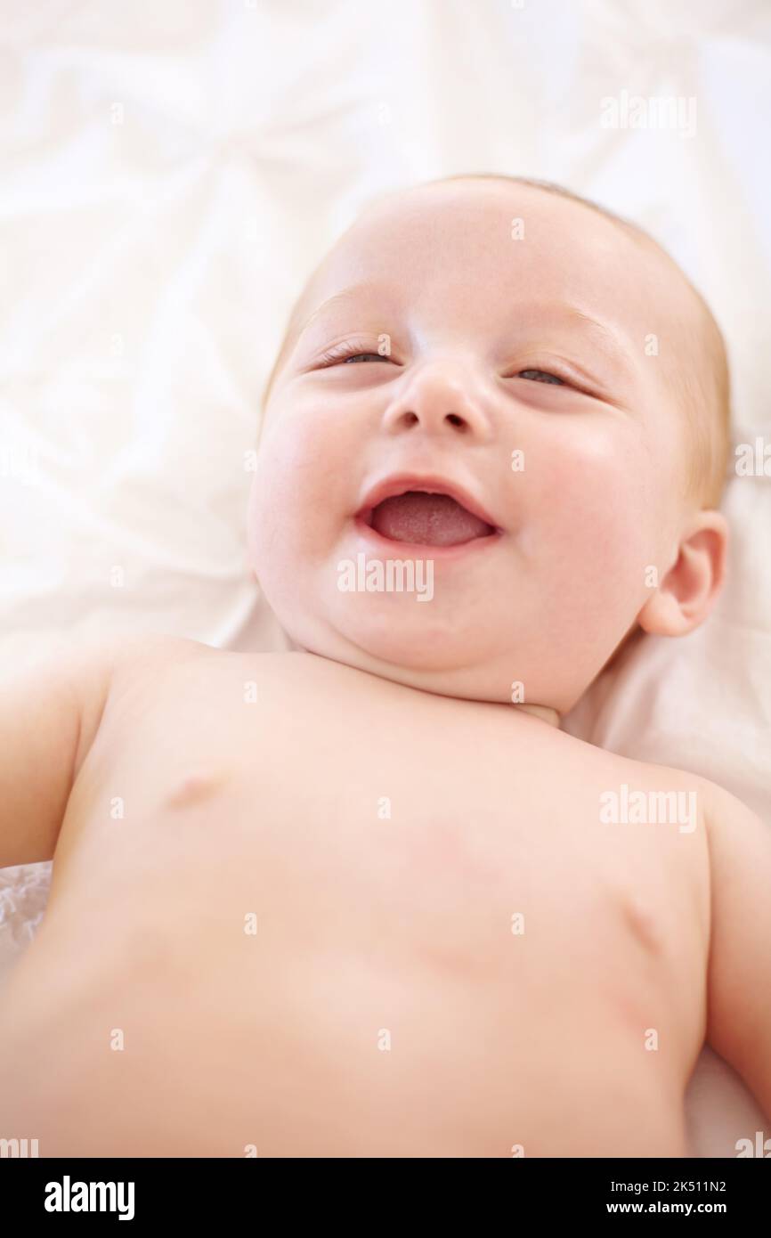 Dumme kreaturen -Fotos und -Bildmaterial in hoher Auflösung – Alamy