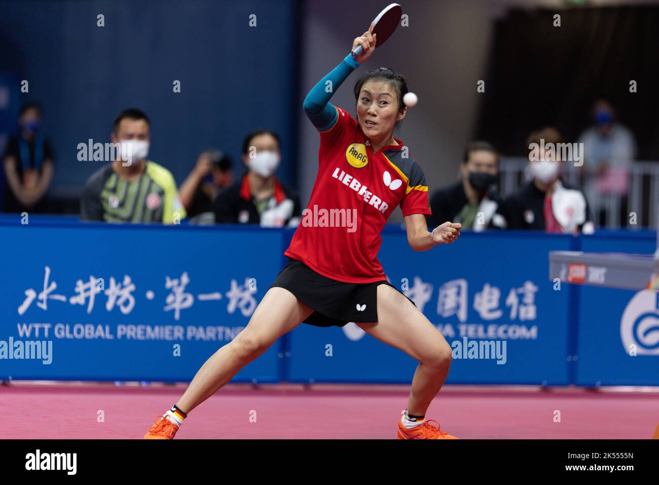 Sau ying -Fotos und -Bildmaterial in hoher Auflösung – Alamy