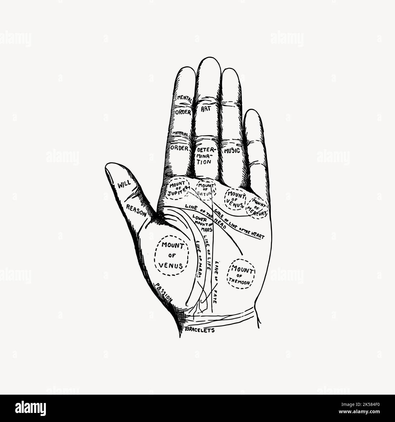 Palmistry chart -Fotos und -Bildmaterial in hoher Auflösung – Alamy