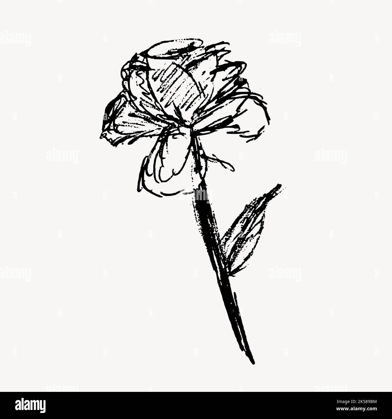 Rose Skizze von Hand gezeichnet, Illustration Vektor Stock-Vektorgrafik ...