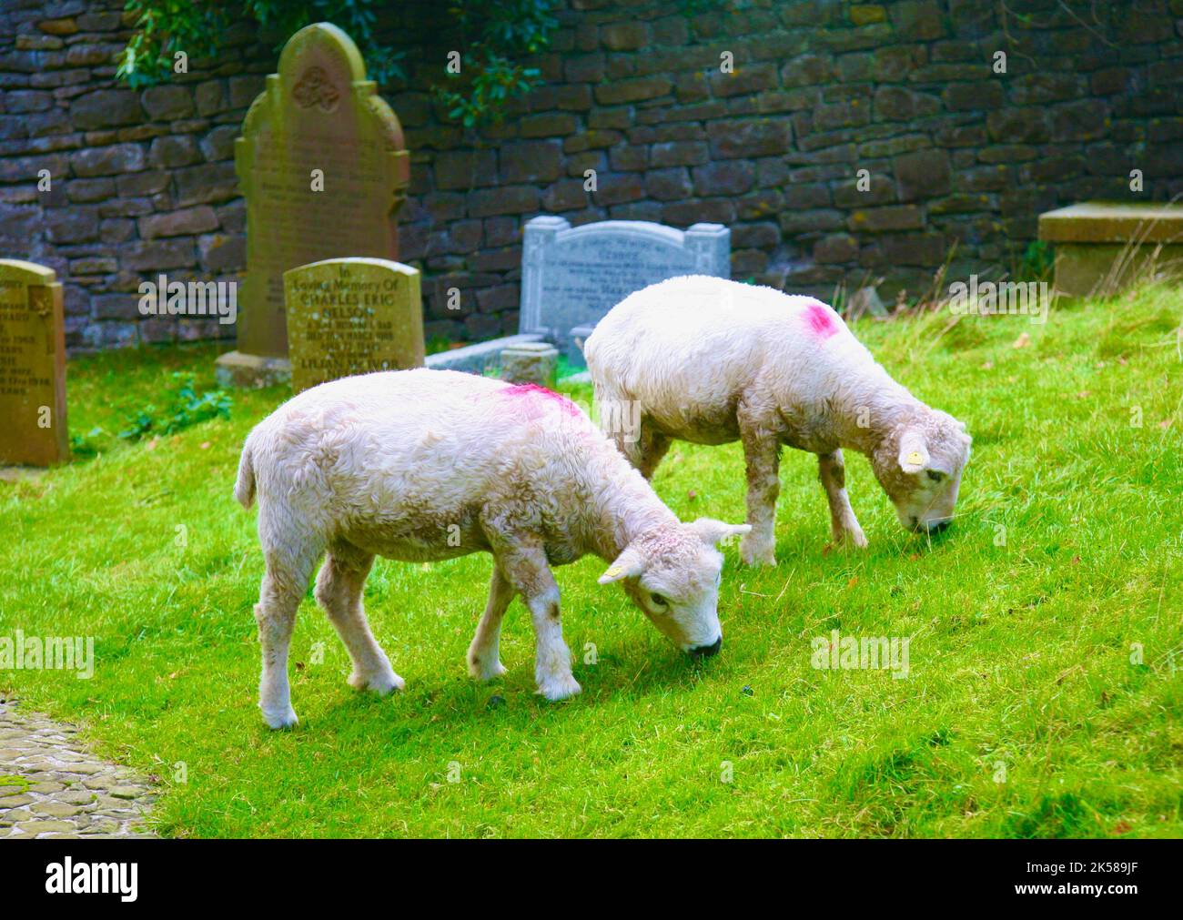 Lord clitheroe -Fotos und -Bildmaterial in hoher Auflösung – Alamy