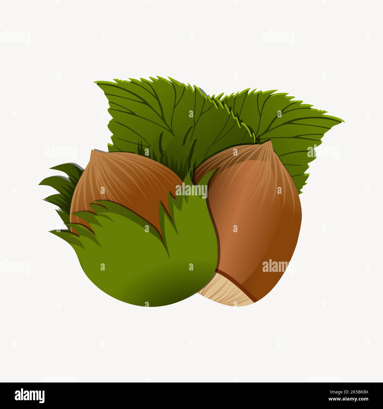 Collage haselnuss Stock-Vektorgrafiken kaufen - Alamy